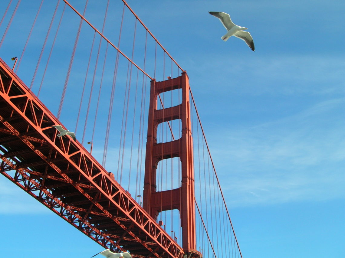 10 amazing things to do in San Francisco | Serendipity On Purpose