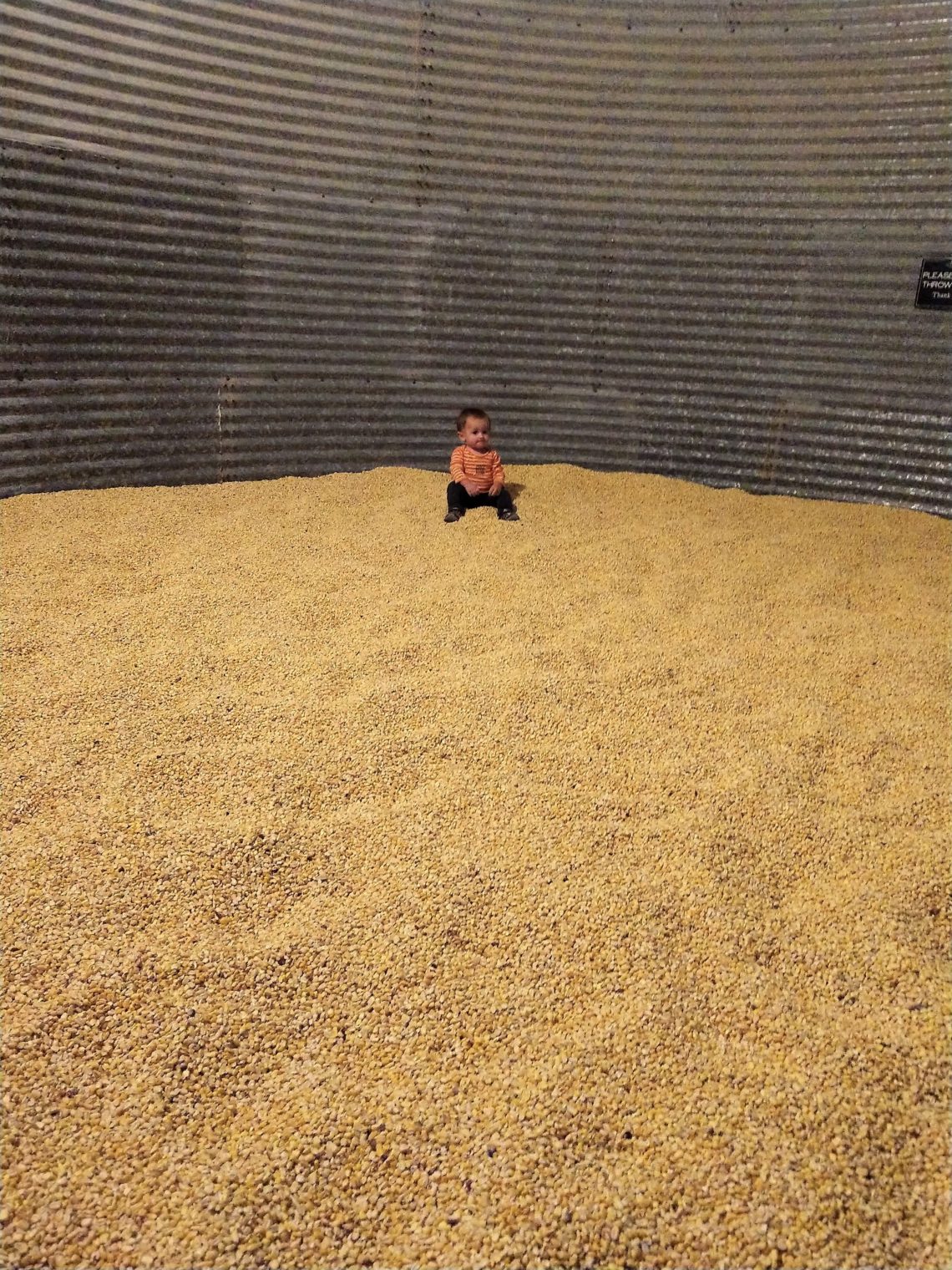 Corn-Pit | Serendipity On Purpose
