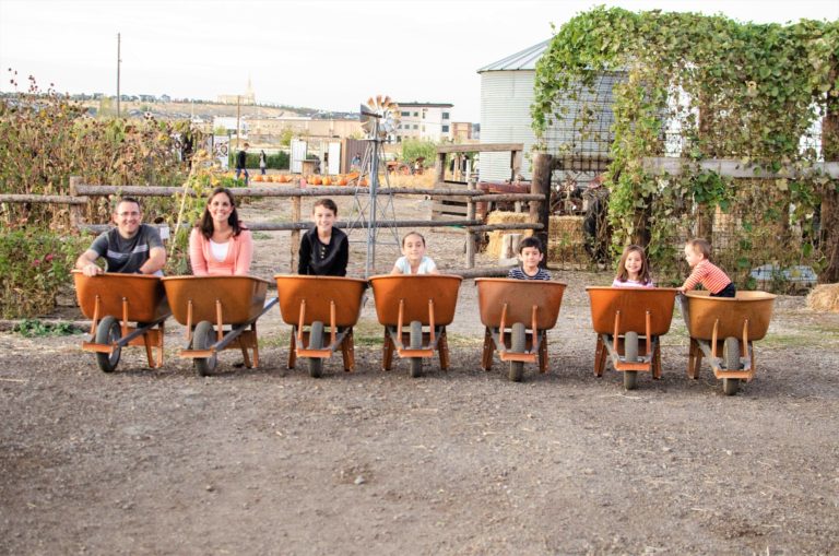 Wheeler Historic Farm | Serendipity On Purpose